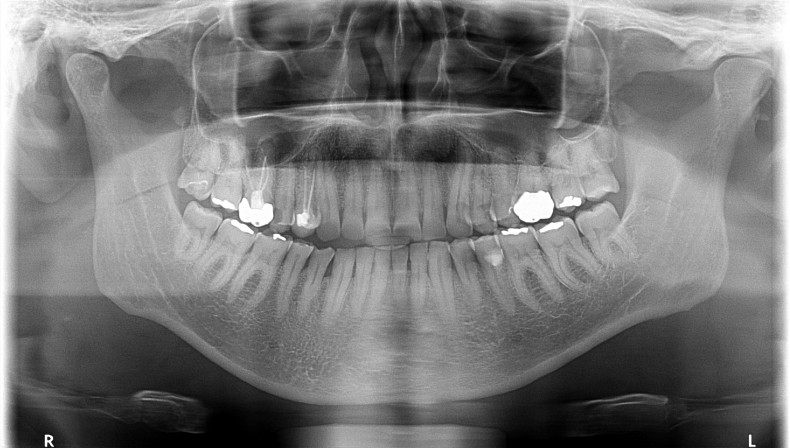 Ästhetik und Funktion unter Kontrolle – Think functional! – ZWP online ...