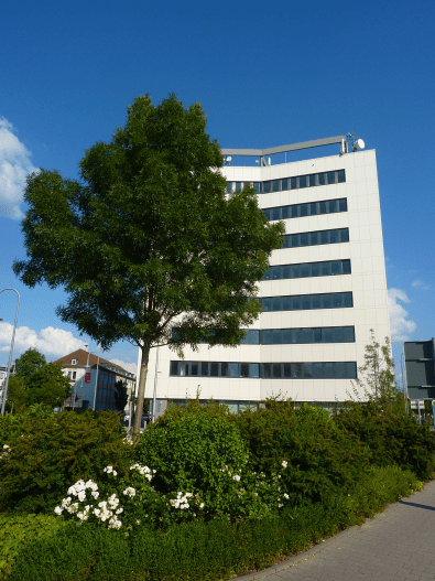 Trends der Dentalbranche: Kulzer-CEO Marc Berendes im Gespräch – ZWP ...